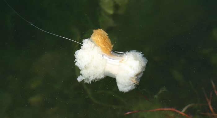 Nash Bread Bomb - Hareco Hengelsport