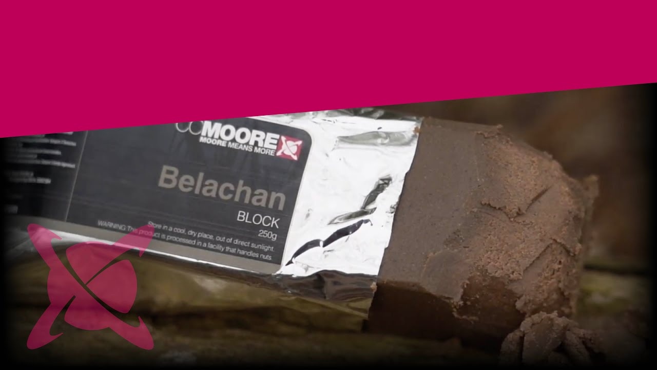 Ccmoore Belachan Block - Hareco Hengelsport