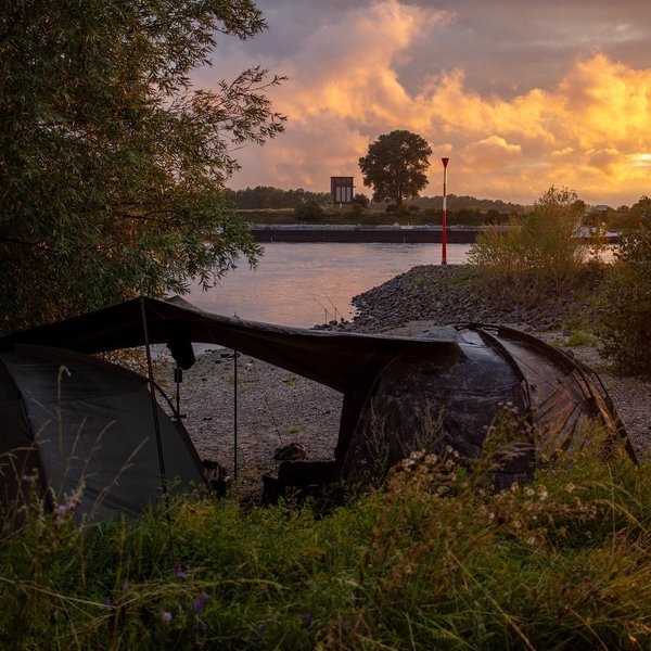 Nash Multi Tarp Camouflage - Hareco Hengelsport