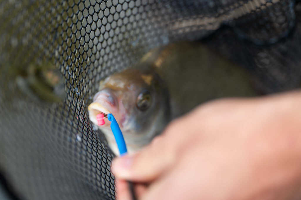 Preston Floating Disgorger - Baiting Needle - Hareco Hengelsport