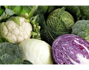 Groentezaden Eenvoudig Online Kopen - Voor 2,79 Thuis Bezorgd - Garden ...