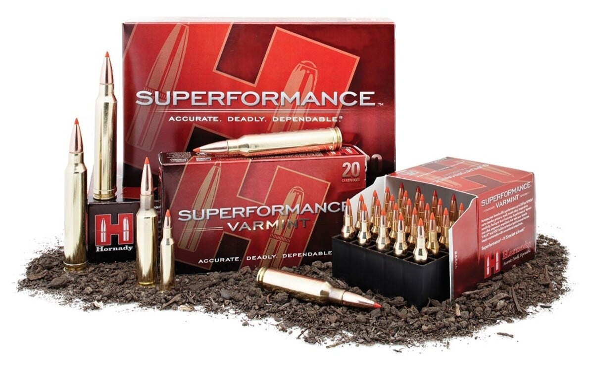 Hornady cartridges SuperFormance Varmint .243 Win 75 Grain V-Max | SEM ...