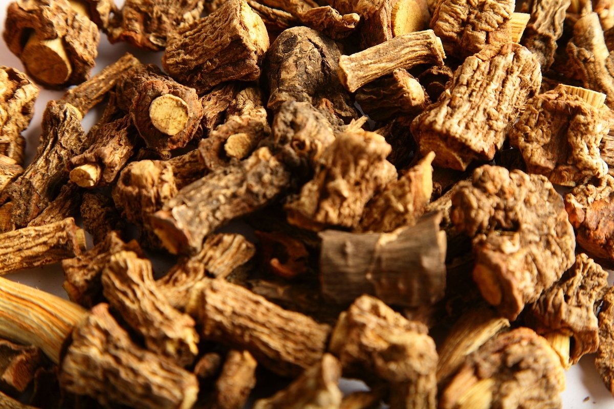 Arjuna Extract – heart and circulation support | Sanitas Verde ...