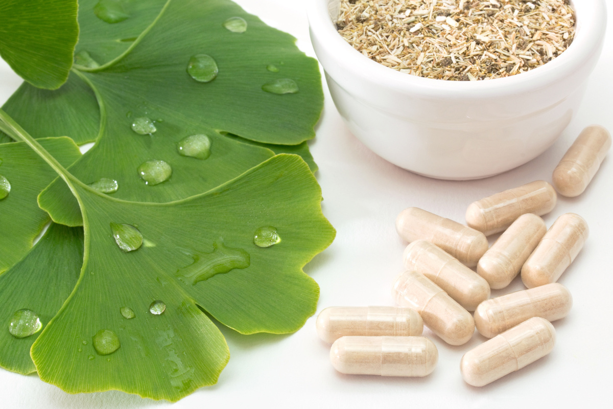 Ginkgo Biloba Extract Memory and Focus | Sanitas Verde - Sanitas Verde