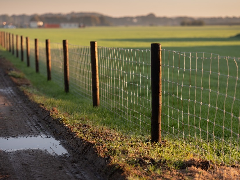 Weidepalen Kopen | Ronde palen | Geschilde palen | Afrastering - Houthandel van Gelder