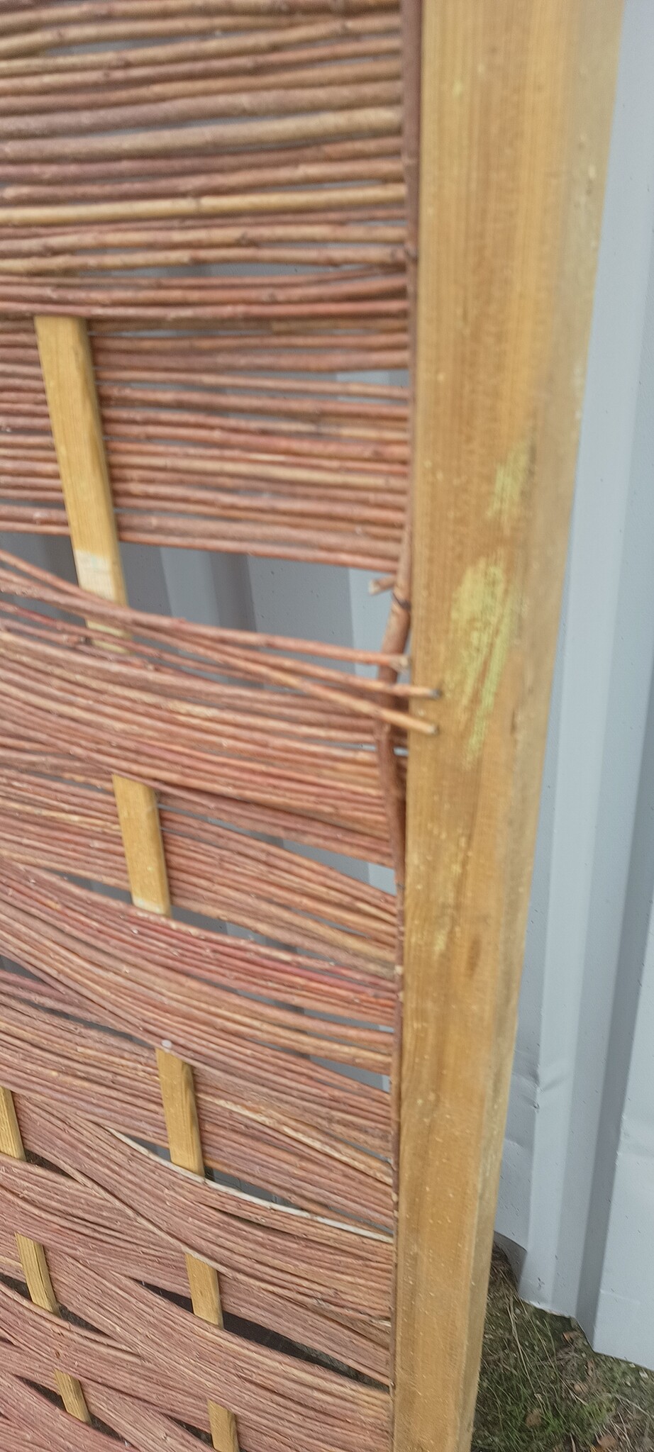 Tuinscherm wilgenteen | Natuur afscheiding | 180x180cm | Wilgenteen ...