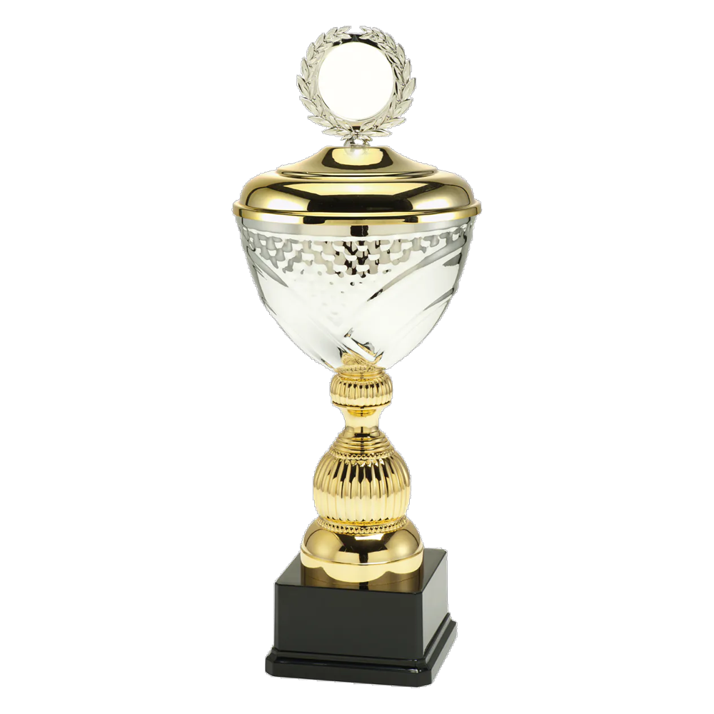 Trofee L1710 Kopen? Snelle Levering & Lage Prijs! - Dartshop Leiden
