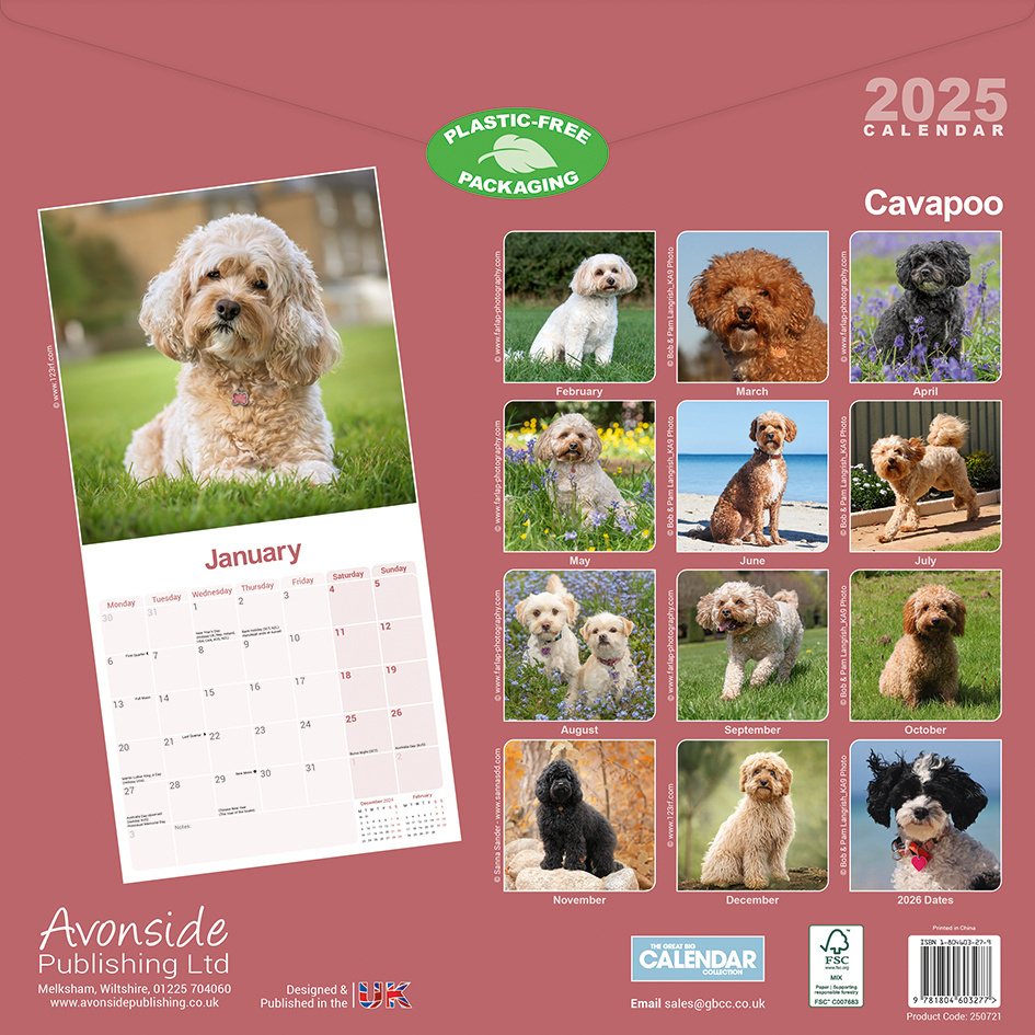 Comprar Calendario Cavapoo 2025 | Simplemente haz tu pedido online ...