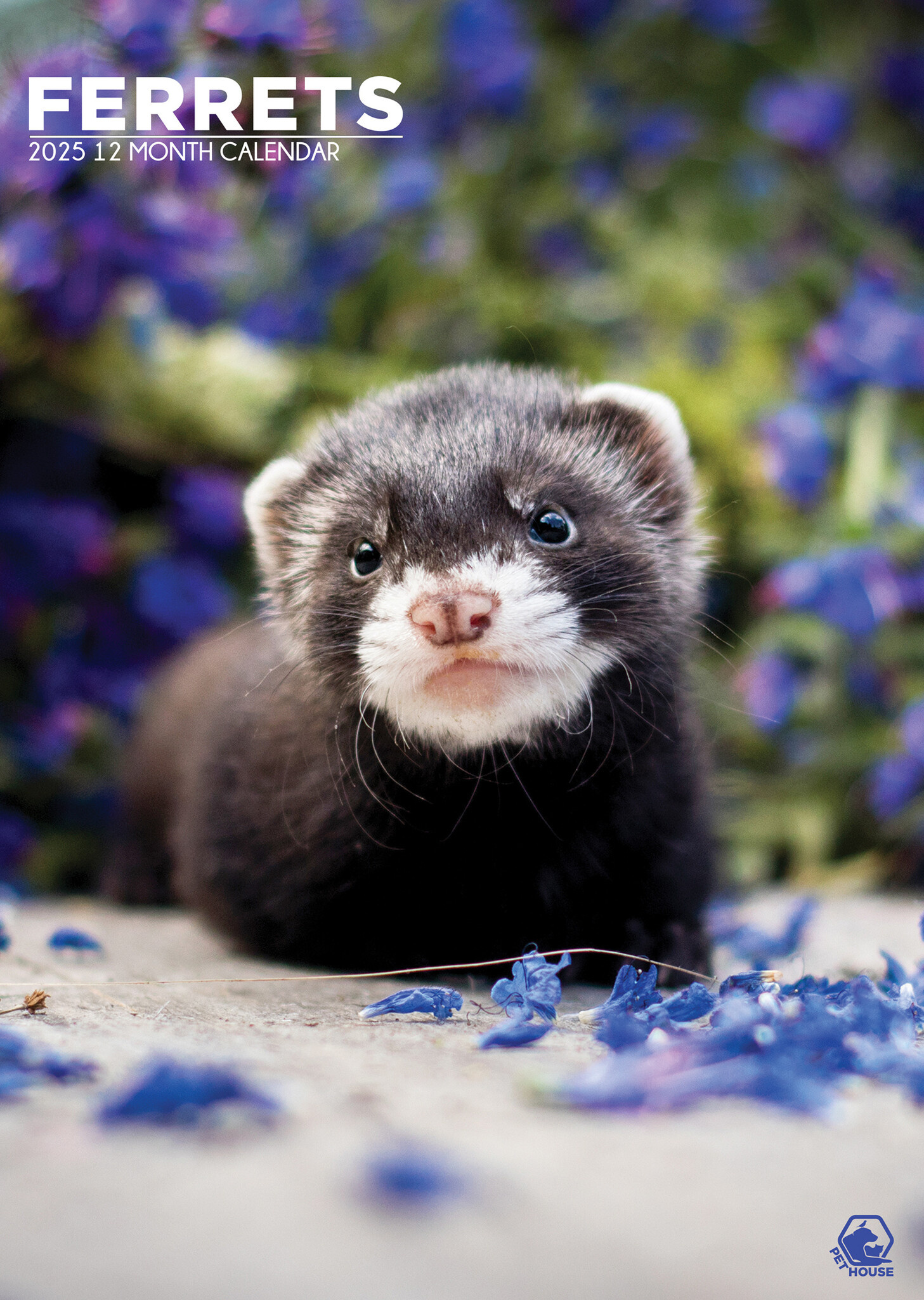 Acheter Ferrets A3 Calendrier 2025 ? Commande en ligne rapidement et ...