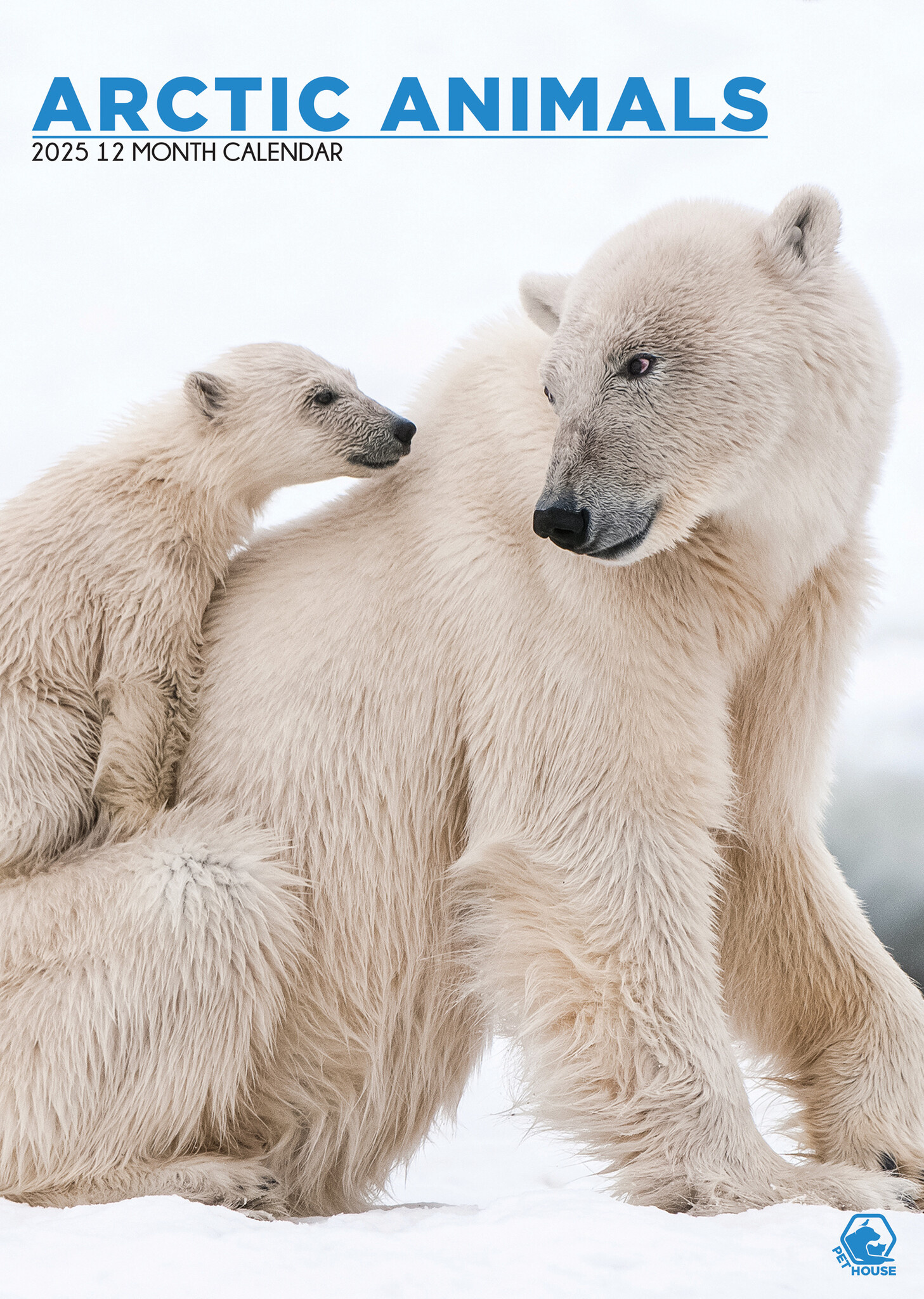 Acheter Animaux de l'Arctique A3 Calendrier 2025 ? Commande en ligne ...
