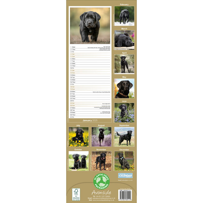 Comprar Calendario Labrador Retriever 2025 Slimline? Haz tu pedido ...