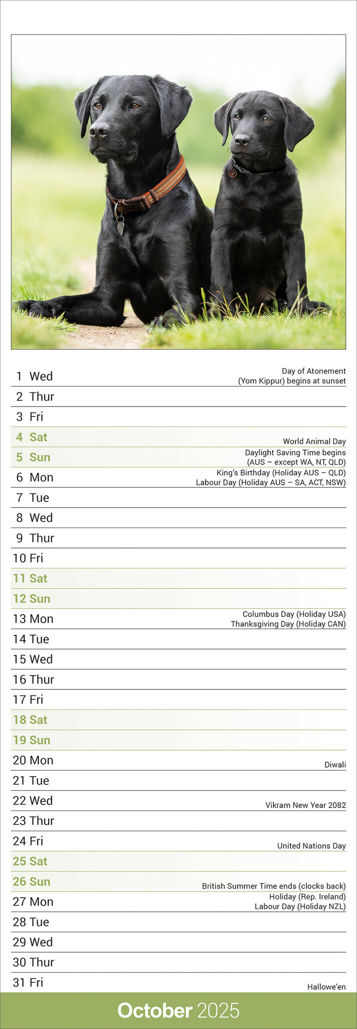 Comprar Calendario Labrador Retriever 2025 Slimline? Haz tu pedido ...