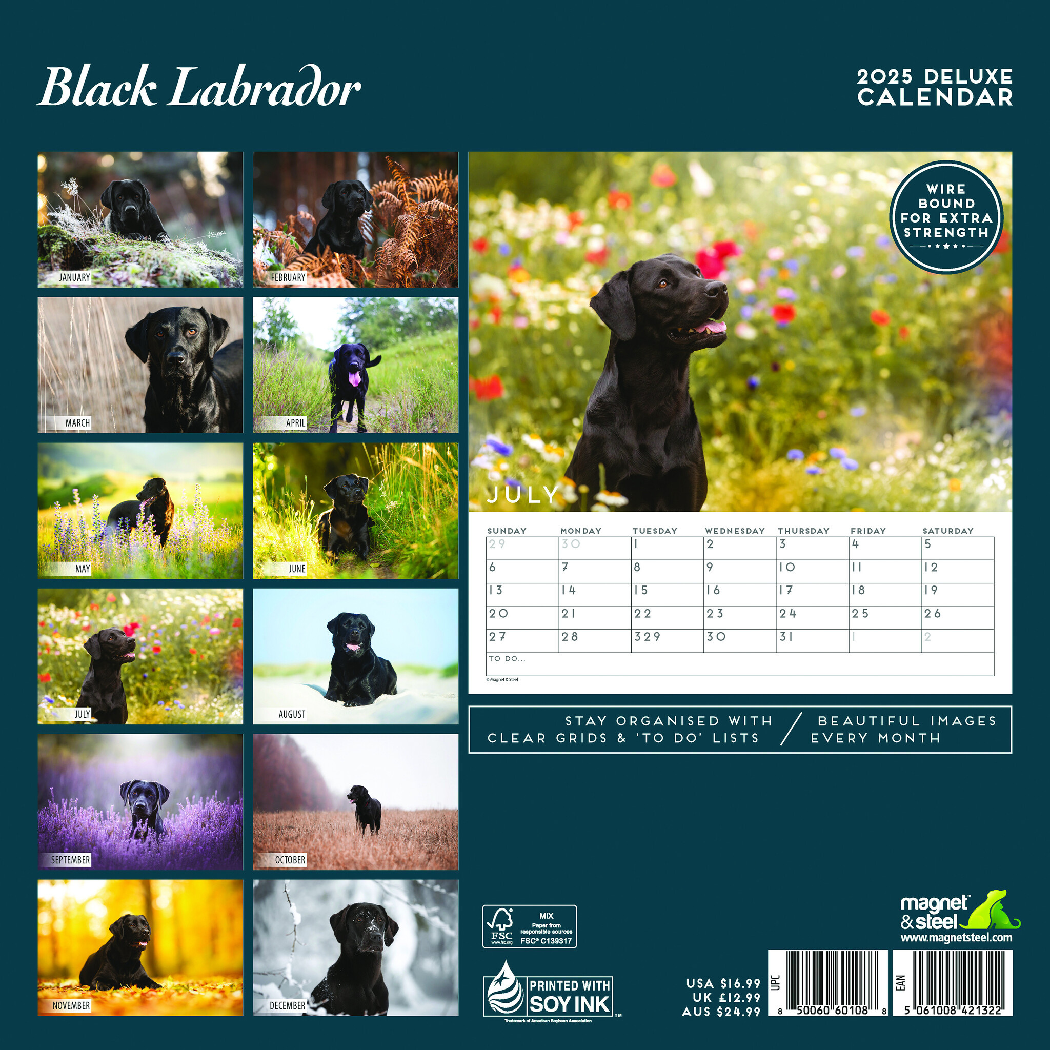Labrador Retriever Kalender 2025 Kopen? | Bestel eenvoudig Online ...