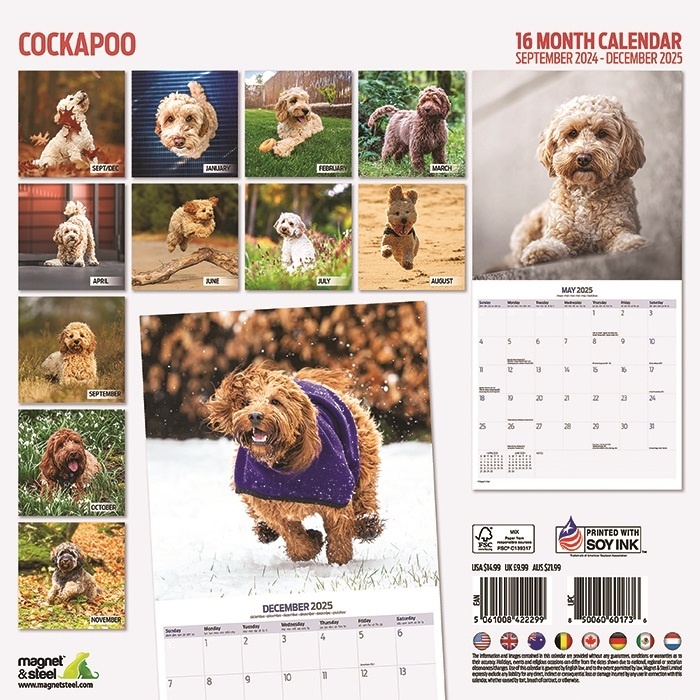 Cockapoo Kalender 2025 Kopen? | Bestel eenvoudig Online - Shopcalendars.com