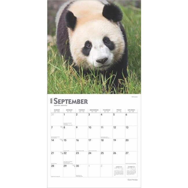 Buying Panda Calendar 2025? Easy, safe and fast online - Shopcalendars.com
