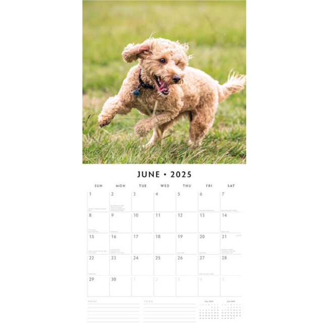 ¿Comprar el Calendario Cockapoos 2025? Fácil y rápidamente pedido en ...