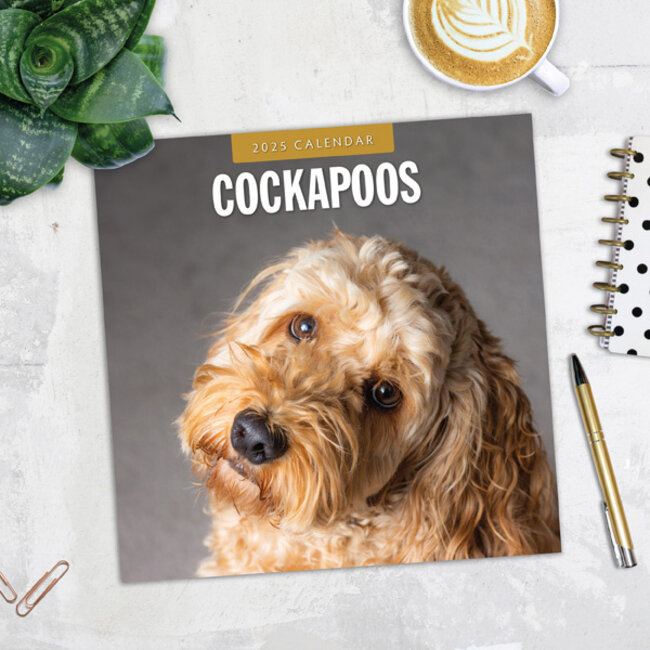 ¿Comprar el Calendario Cockapoos 2025? Fácil y rápidamente pedido en ...