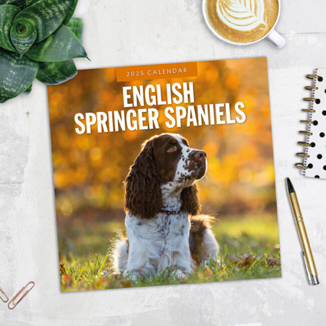Comprar Calendario Springer Spaniel Inglés 2025? Rápido y fácil en ...