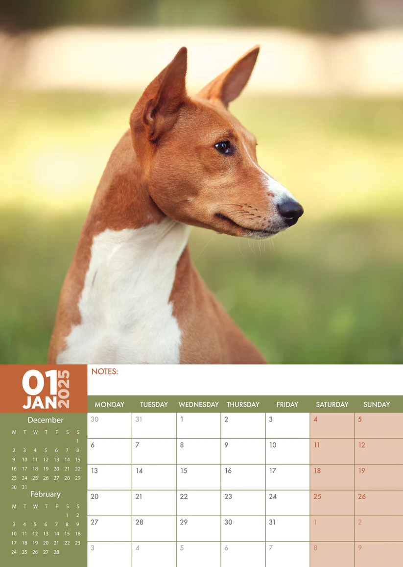 Comprar Calendario Basenji A3 2025 Haz tu pedido fácil y rápidamente en ...