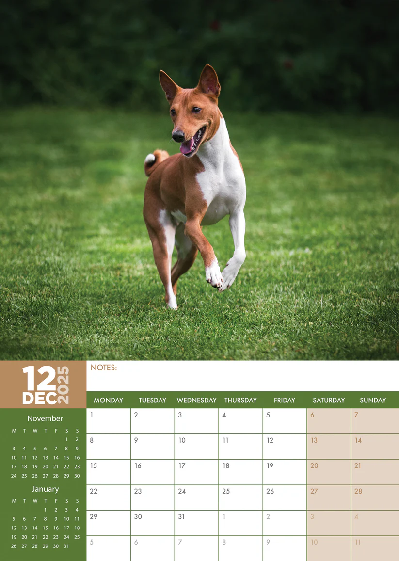 Comprar Calendario Basenji A3 2025 Haz tu pedido fácil y rápidamente en ...