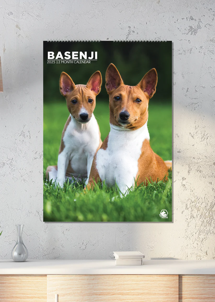 Comprar Calendario Basenji A3 2025 Haz tu pedido fácil y rápidamente en ...