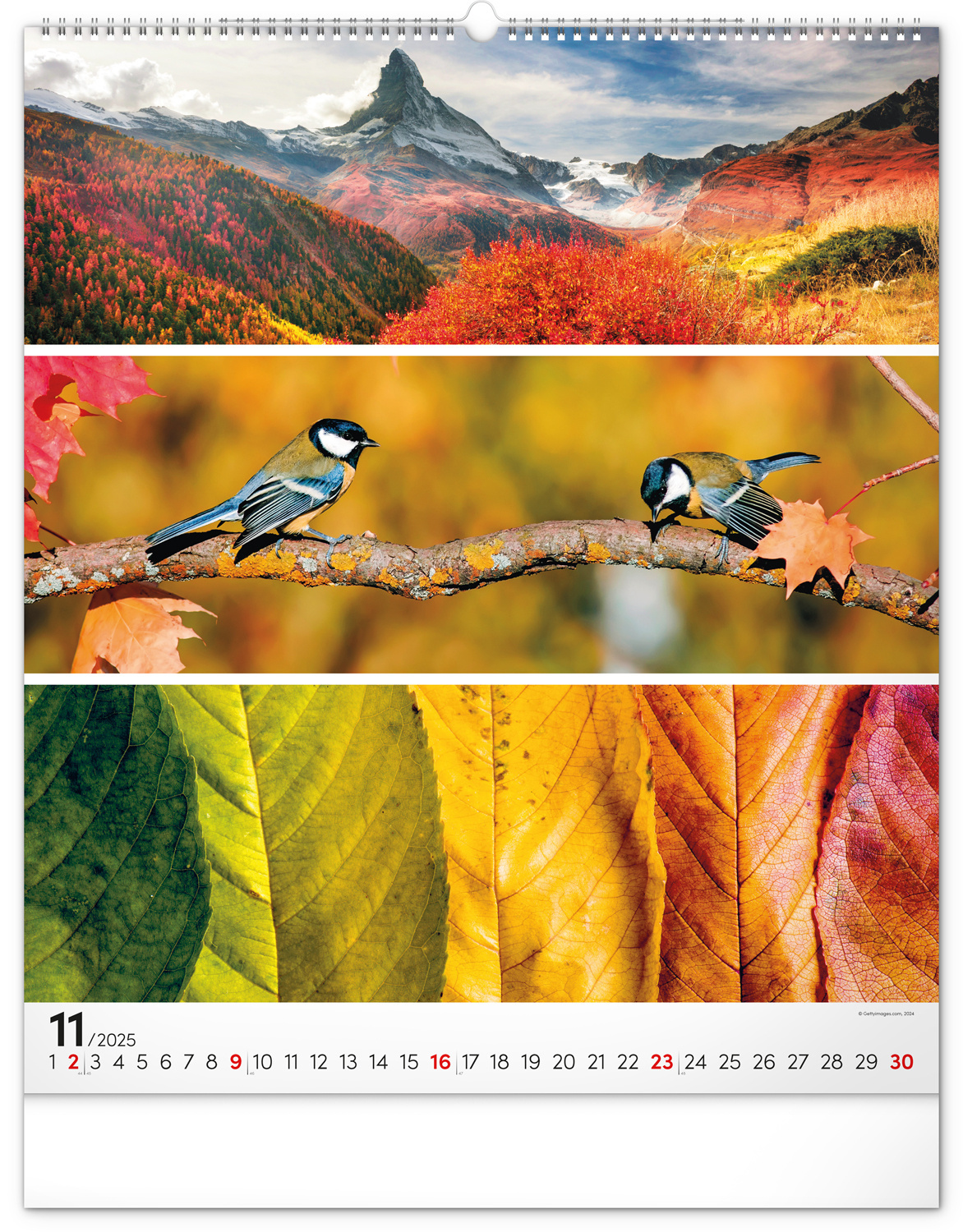Acheter Palette Calendar 2025 ? Commande en ligne rapidement et ...