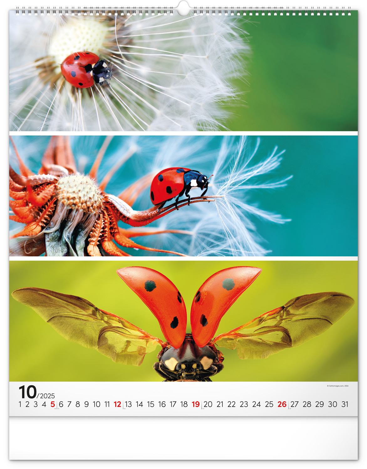 Acheter Palette Calendar 2025 ? Commande en ligne rapidement et ...