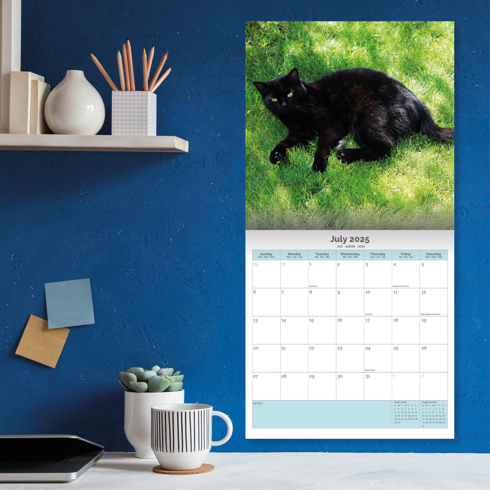 Comprar Calendario Gato Negro 2025 | Haz tu pedido fácil y rápidamente ...