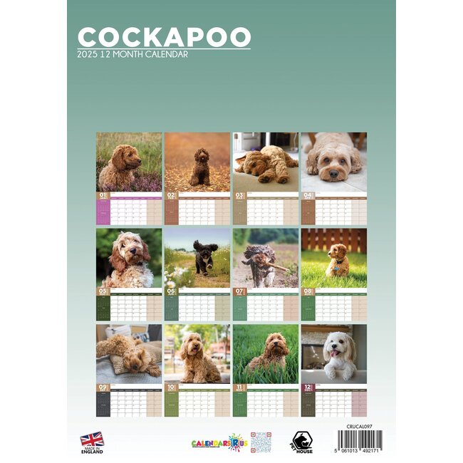 Acheter Cockapoo A3 Calendrier 2025 ? Commande en ligne rapidement et ...