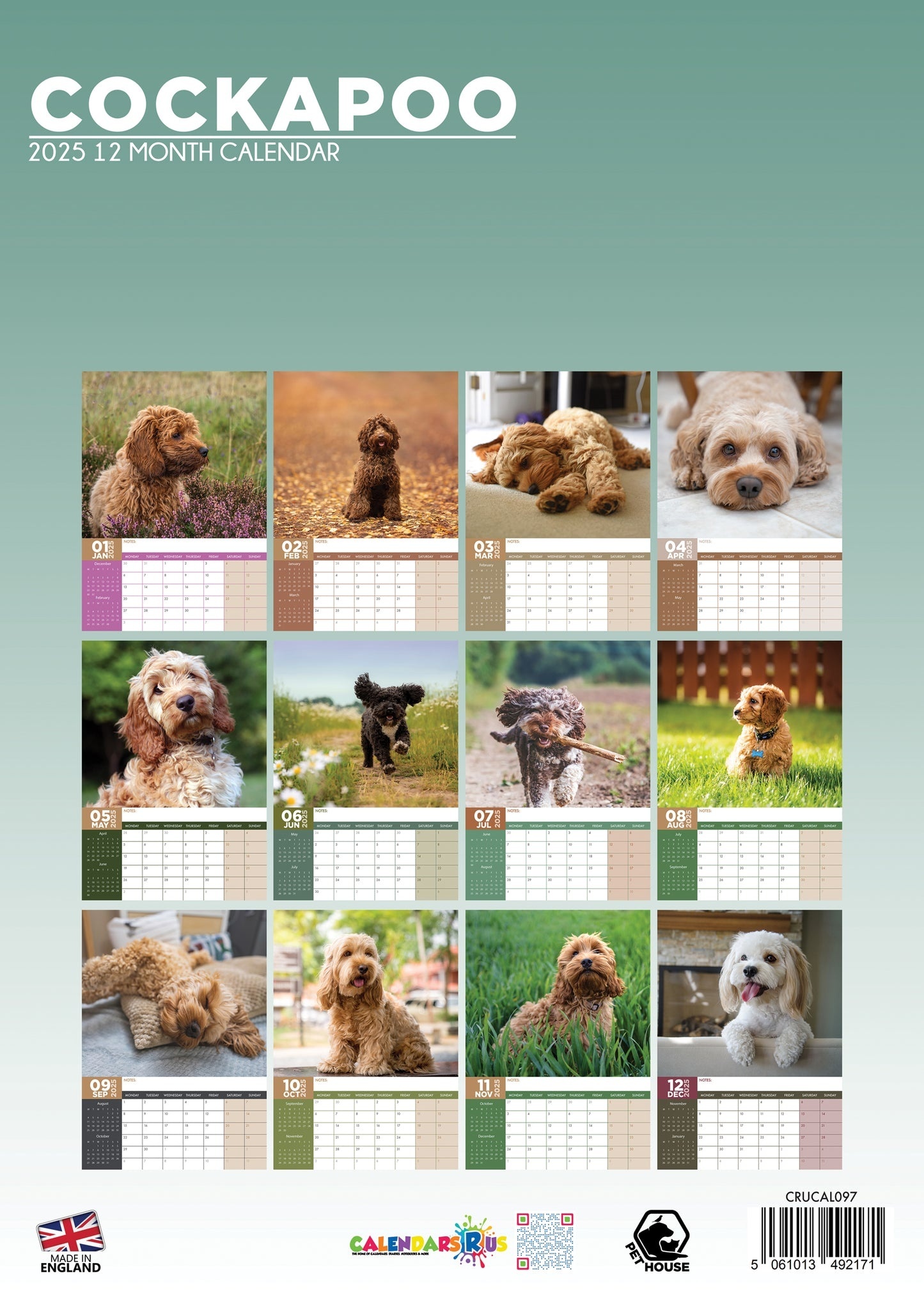 Acheter Cockapoo A3 Calendrier 2025 ? Commande en ligne rapidement et ...