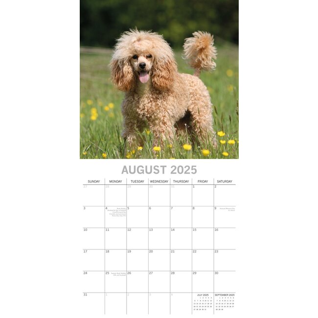 The Gifted Stationary Pudel-Kalender 2025 - Shopcalendars.com