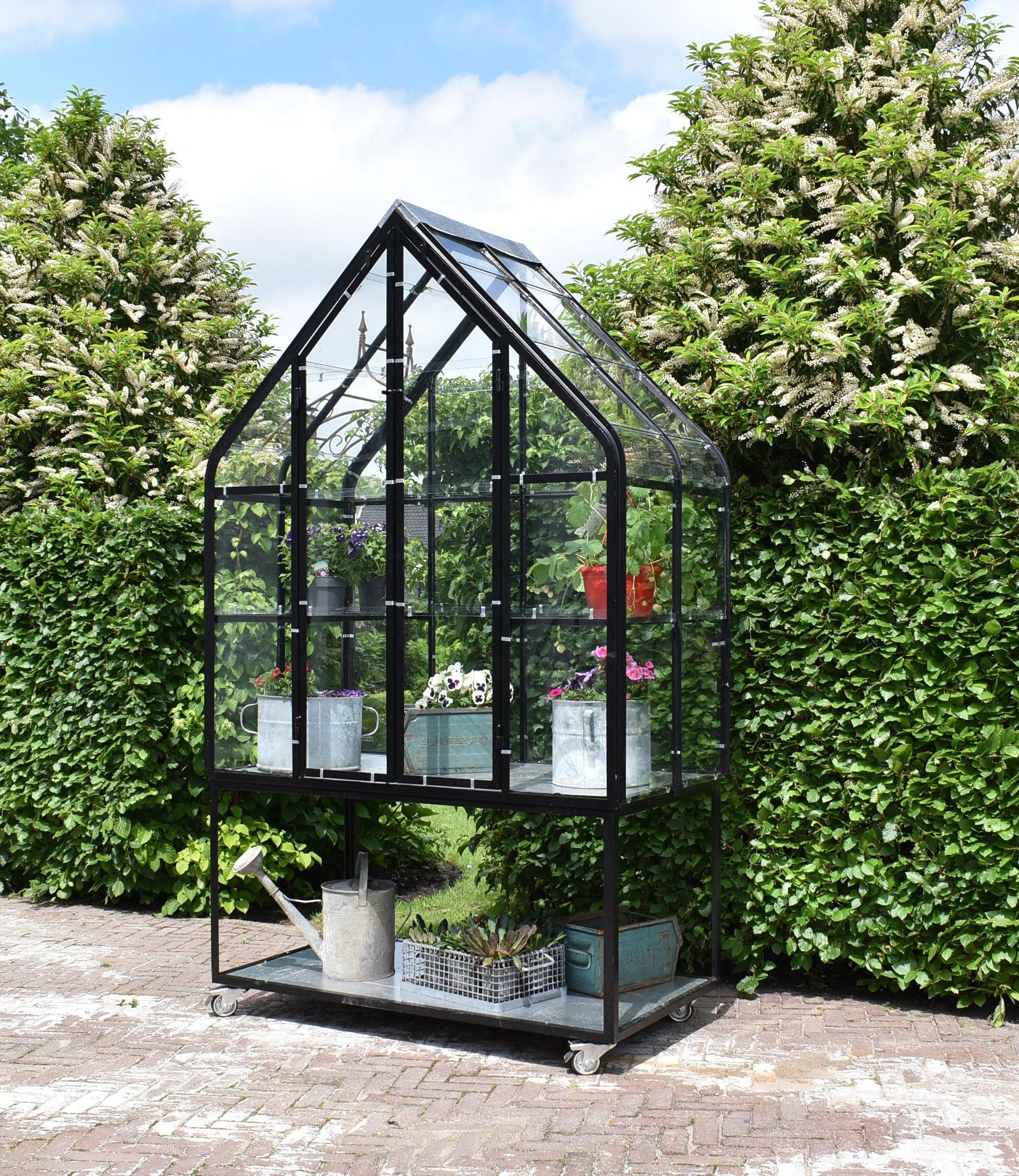 Tuinkas - Kweekkas - Greenhouse - Plantenkas - zwart - Oldwood ...