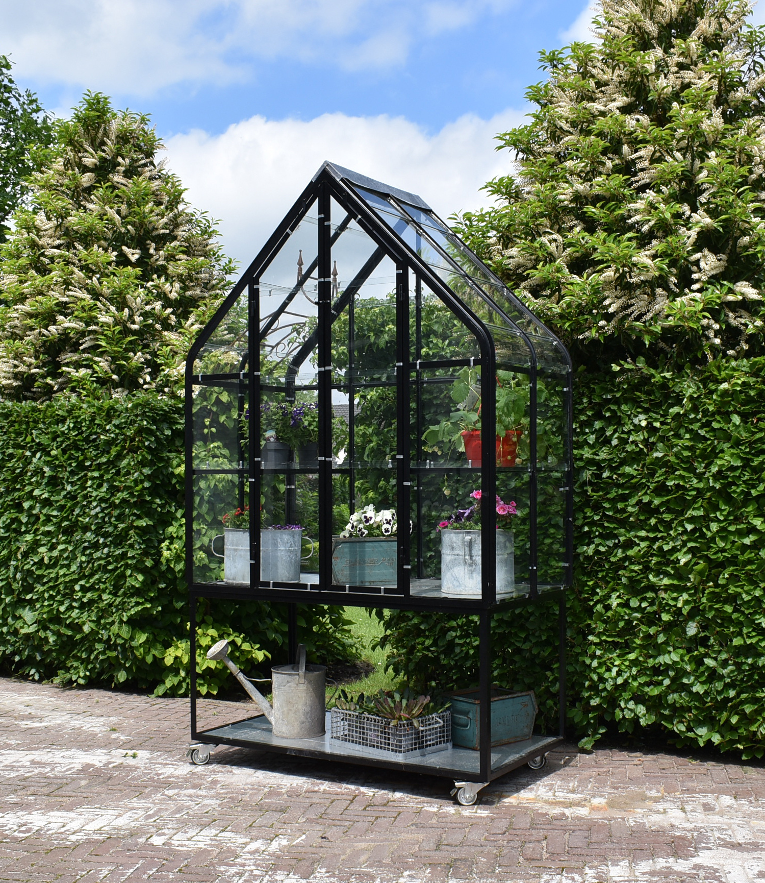 Tuinkas - Kweekkas - Greenhouse - Plantenkas - zwart - Oldwood ...