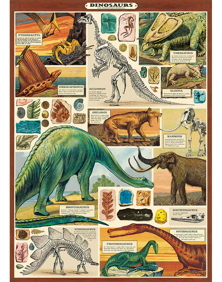 School poster - Dinosaurs (B) - DMW.nu