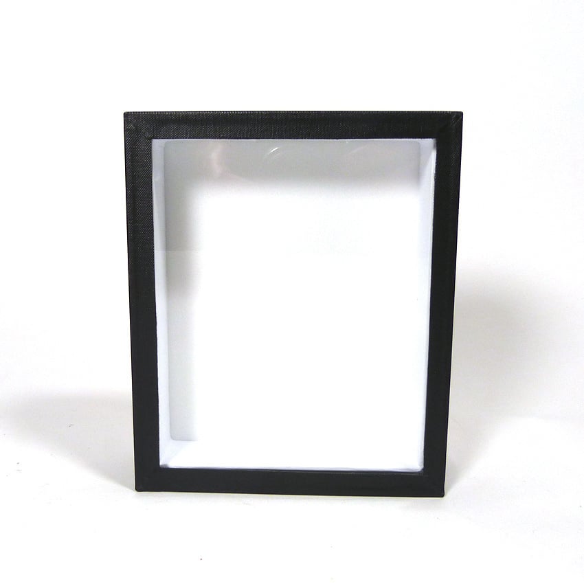 Insect box black 18x15 cm with ring - DeMuseumwinkel.com