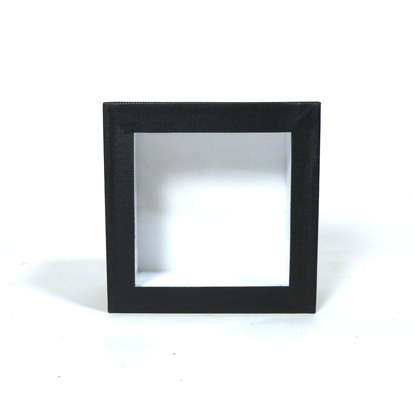 Insect box black 10 x 10 cm - DeMuseumwinkel.com
