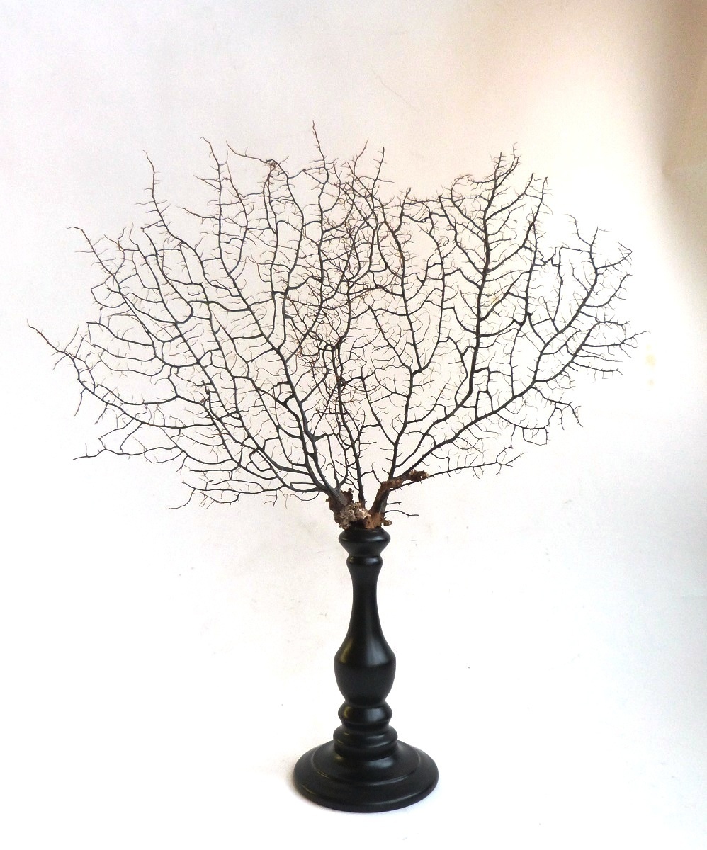 Zeewaaier op sokkel 4 - De Museumwinkel.com