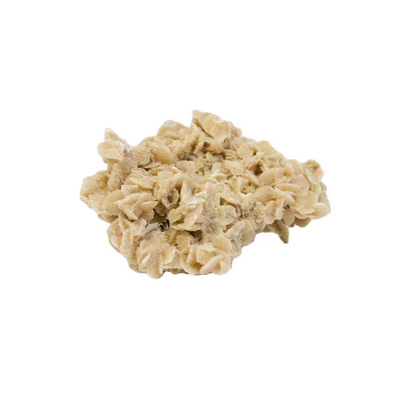 Woestijnroos - De Museumwinkel.com