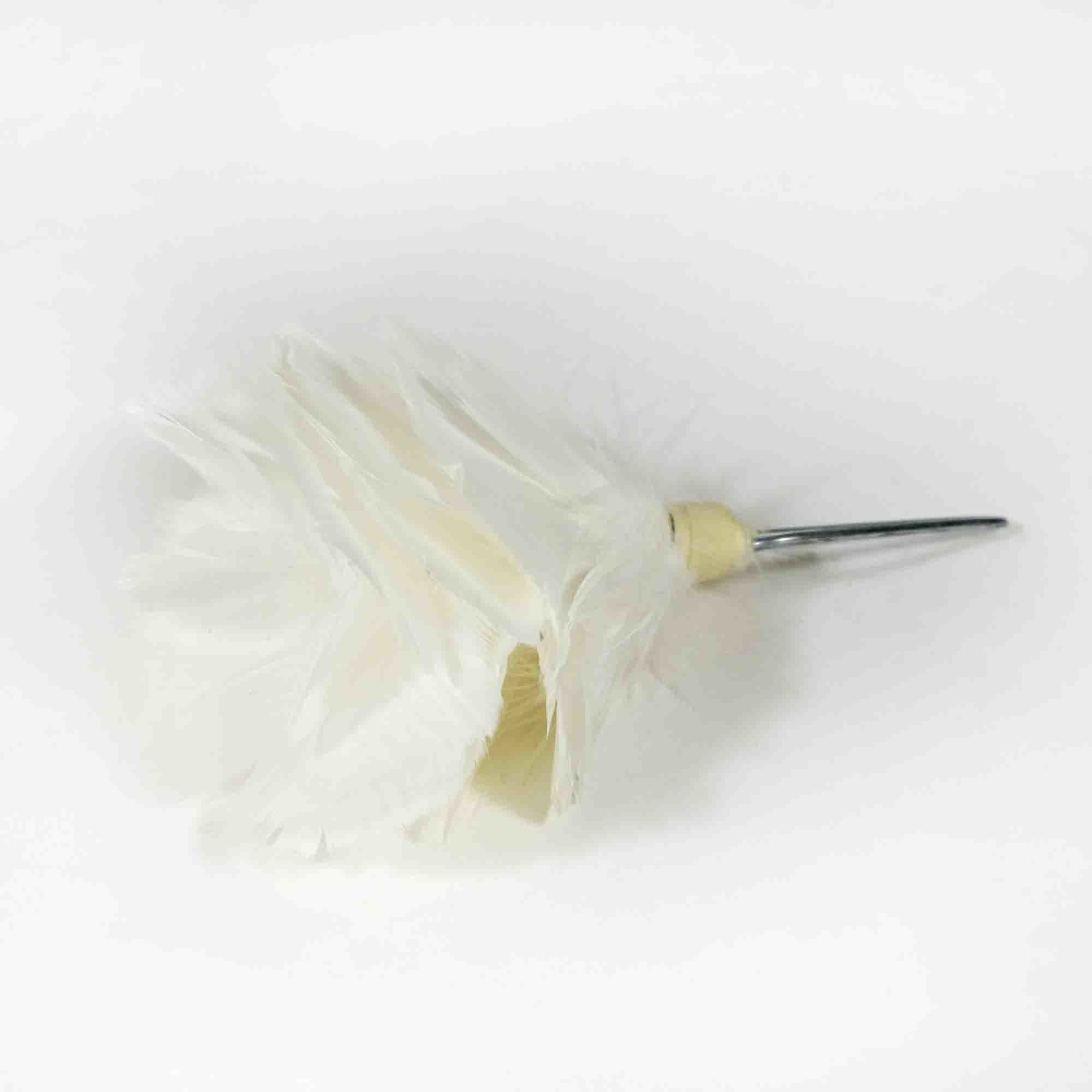 taxidermy; Plume Rooster - white small - DeMuseumwinkel.com