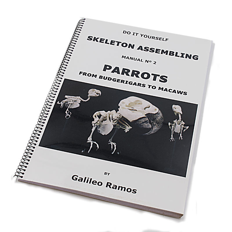 taxidermy; Boek - Skeleton Assembling - Galileo Ramos - De Museumwinkel.com