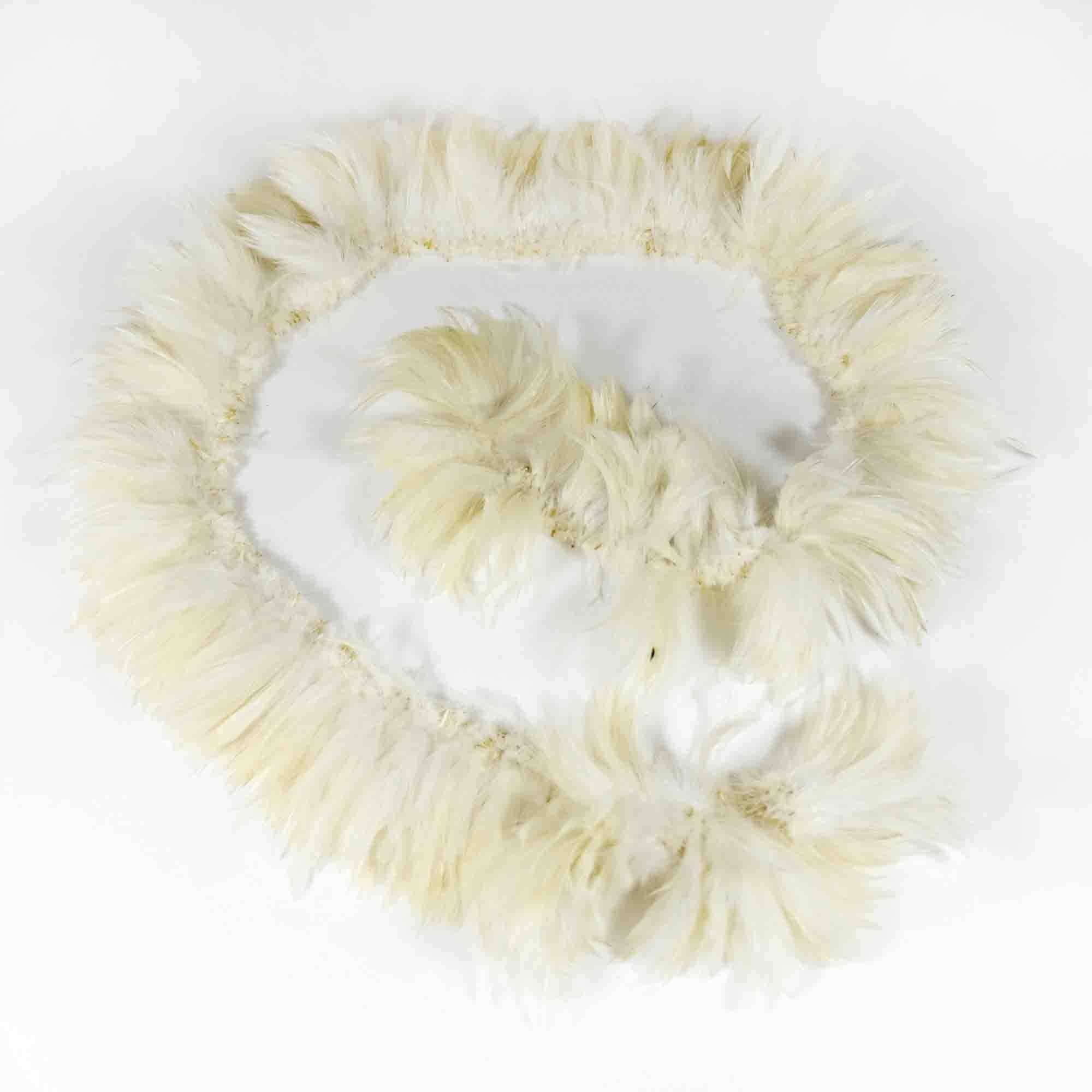 String rooster feathers white - DeMuseumwinkel.com