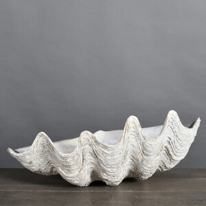 ᐅ Schelpen - De Museumwinkel.com