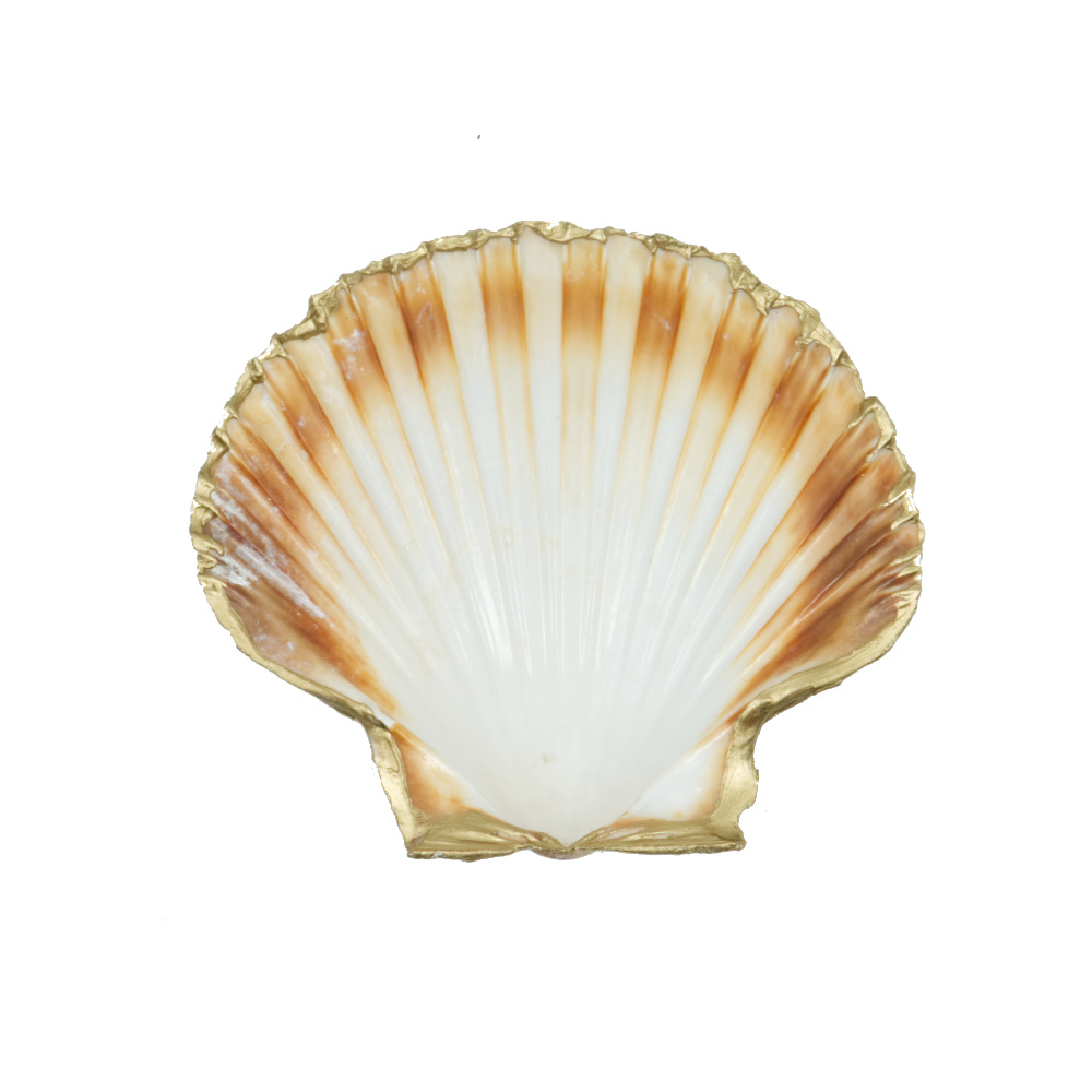 Sint-Jacobsschelp gouden rand - De Museumwinkel.com