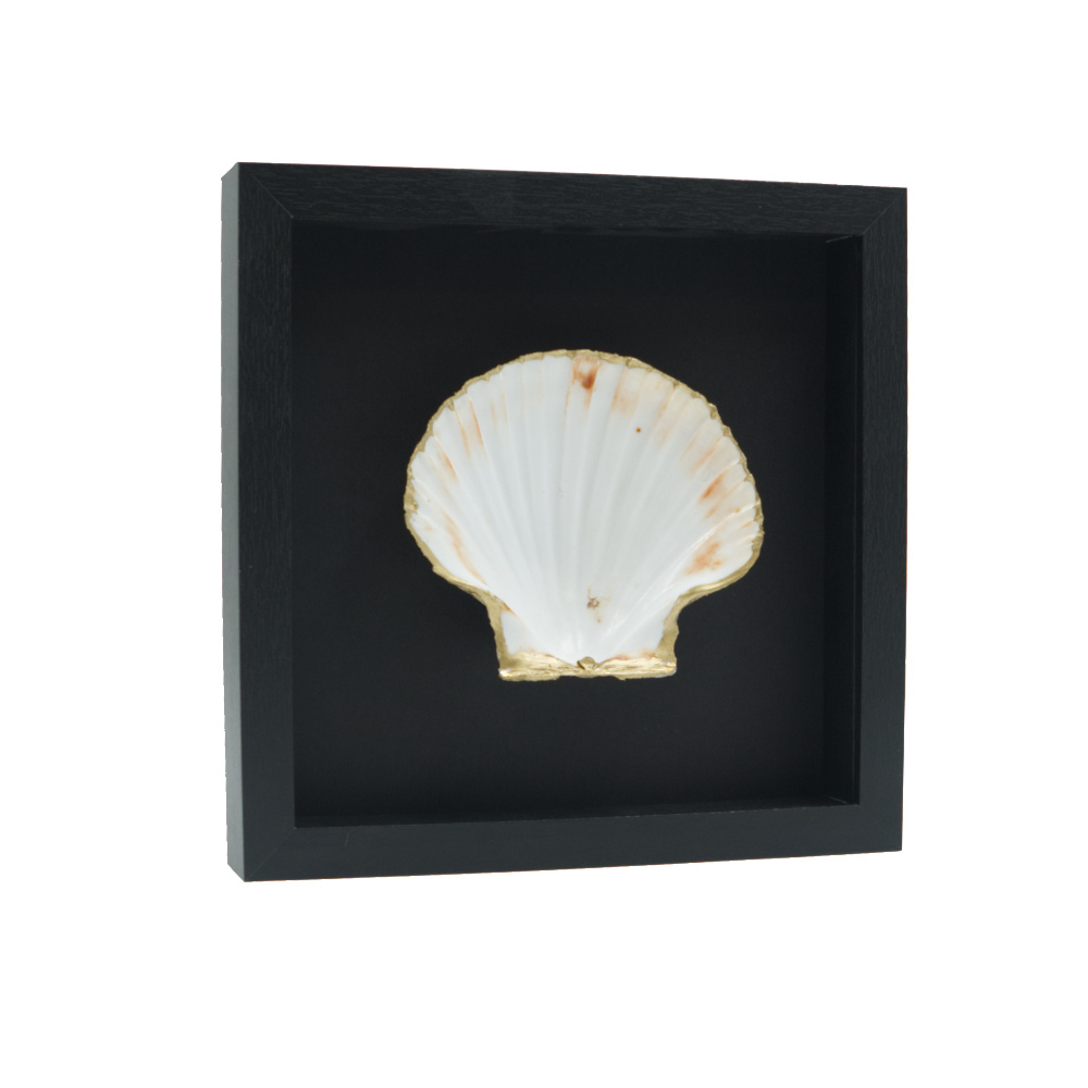 Mediterranean scallop in elegant frame - DeMuseumwinkel.com