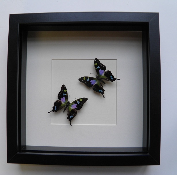 Inspiration - Stylish frame for your interior - DeMuseumwinkel.com