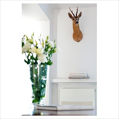 Inspiration - Modern decor with mounted animals - DeMuseumwinkel.com