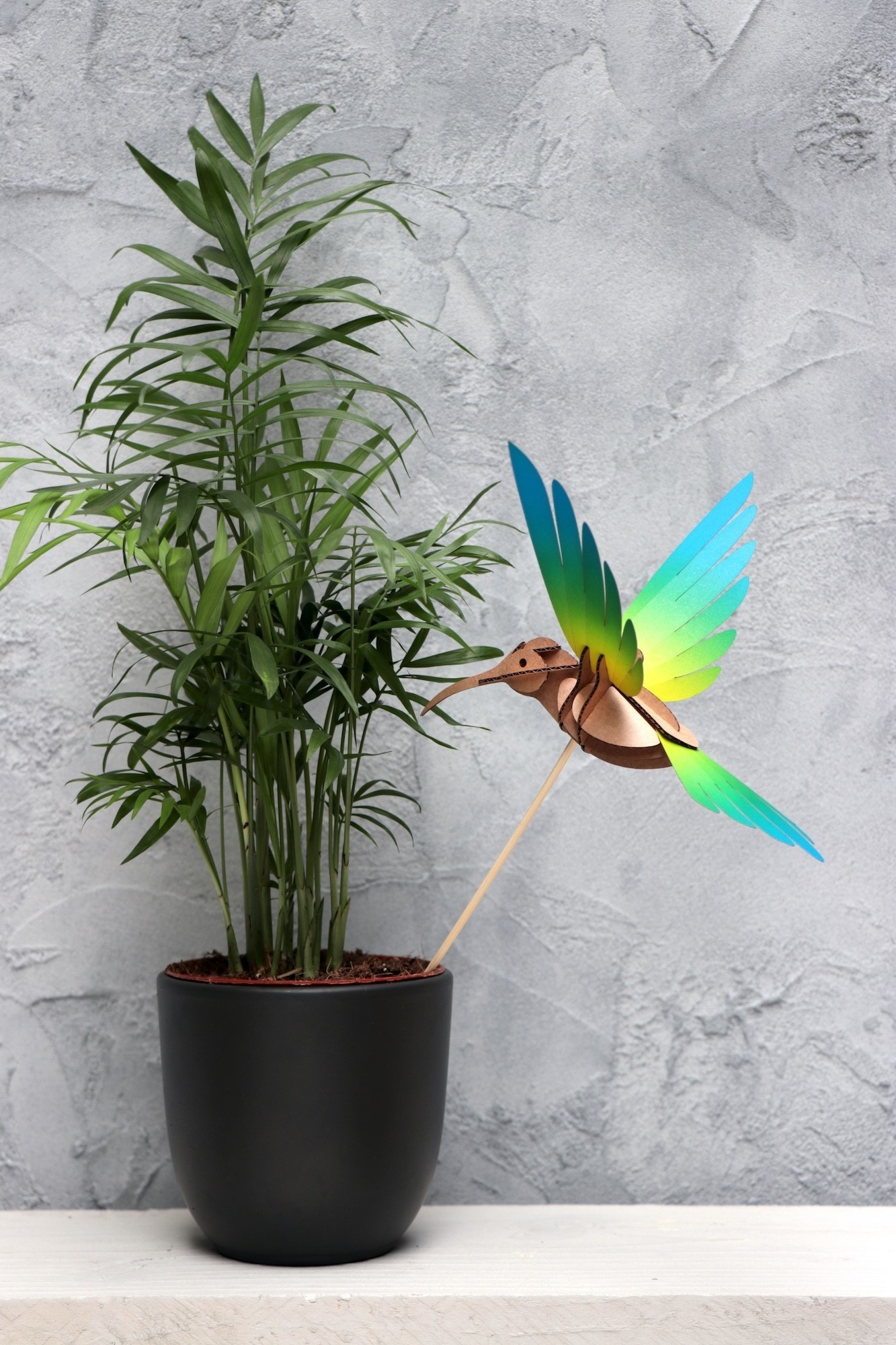 DIY kit - colibri - DeMuseumwinkel.com