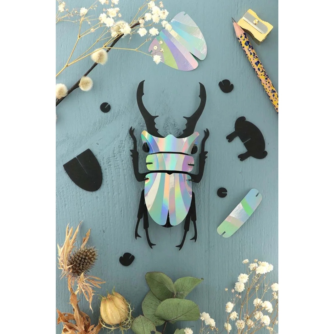 DIY kit - Rainbow flying stag beetle - DeMuseumwinkel.com