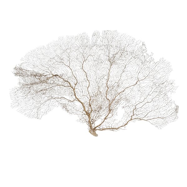 Zeewaaier (XL) zonder standaard - De Museumwinkel.com