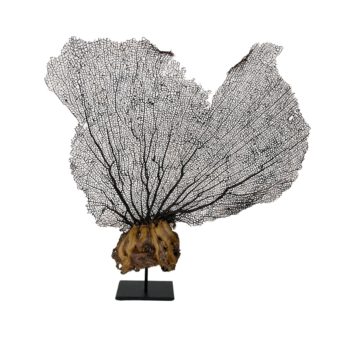 De Museumwinkel.com - De Museumwinkel.com